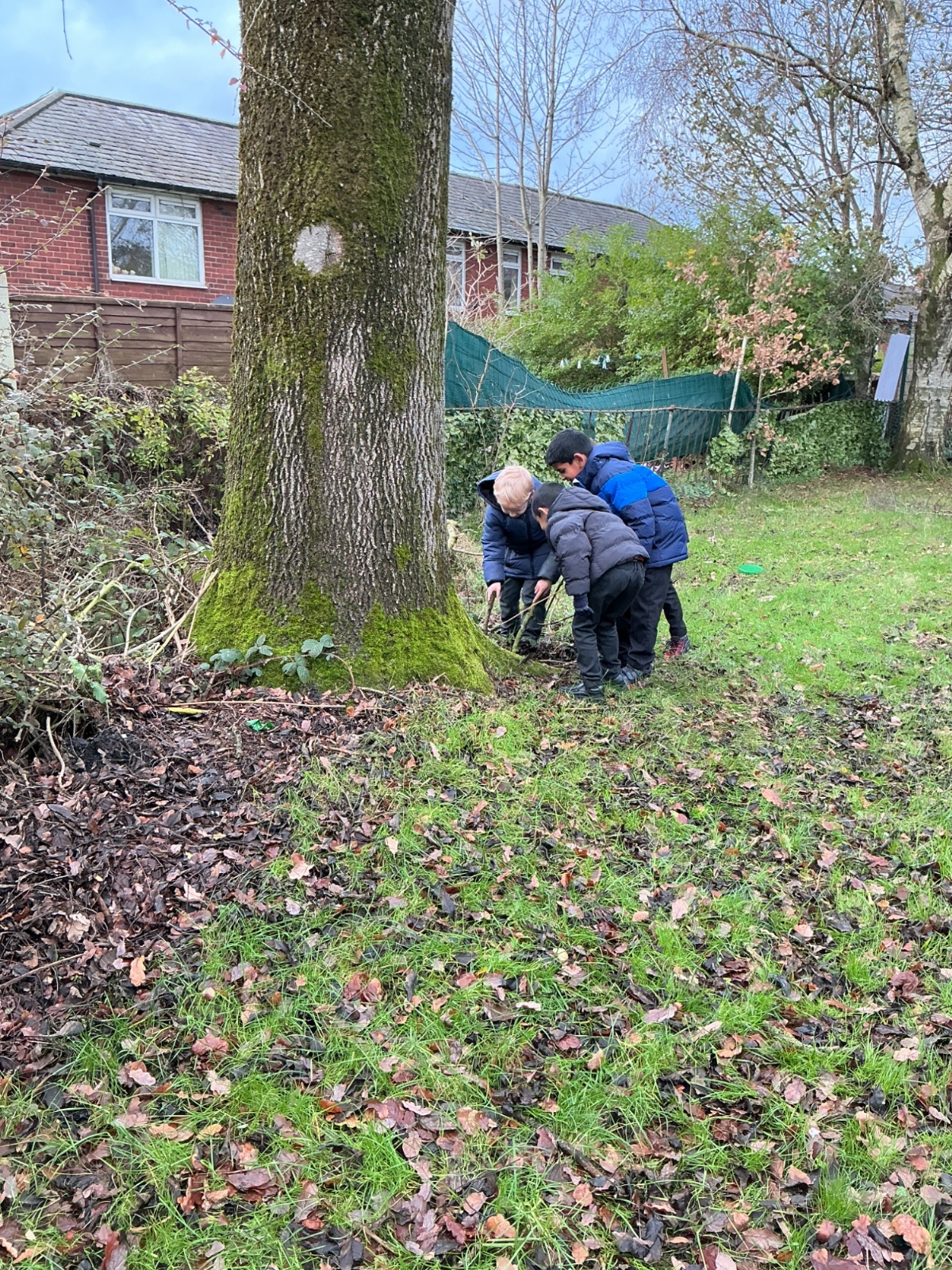 Intack Primary School - Y2 go minibeast hunting